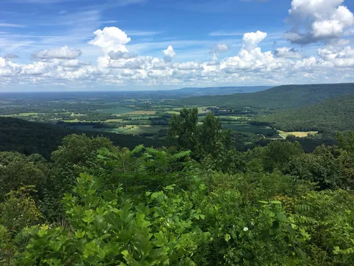 10 Best Trails and Hikes in Sewanee | AllTrails