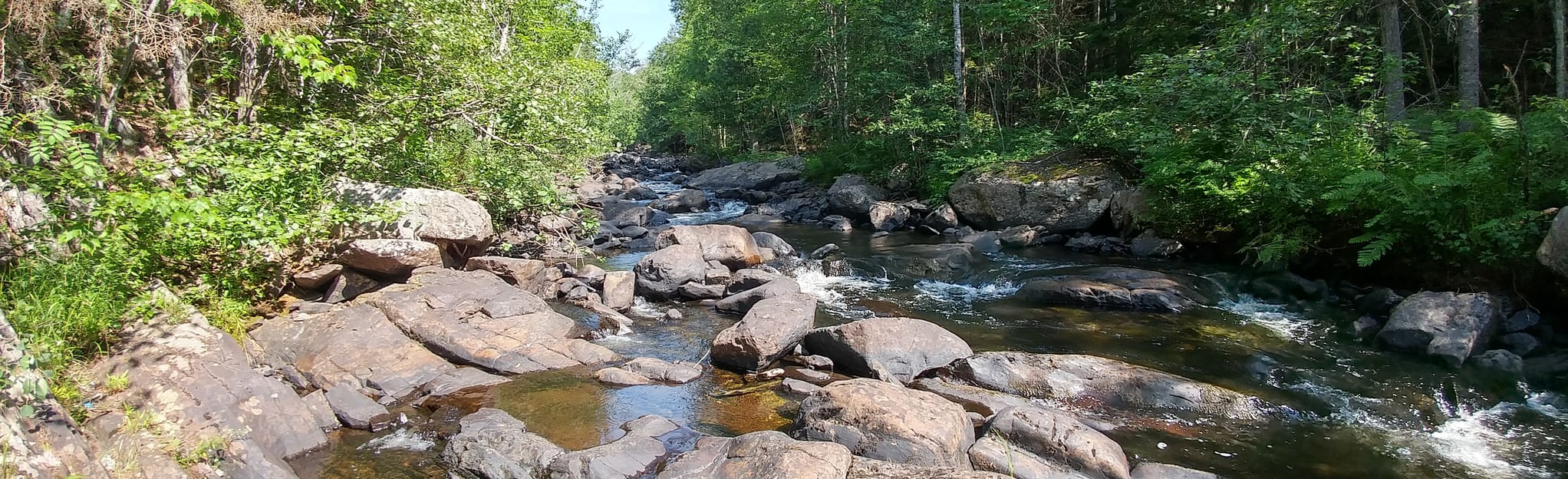 Ixworth Trail, Quebec, Canada - 16 Reviews, Map | AllTrails