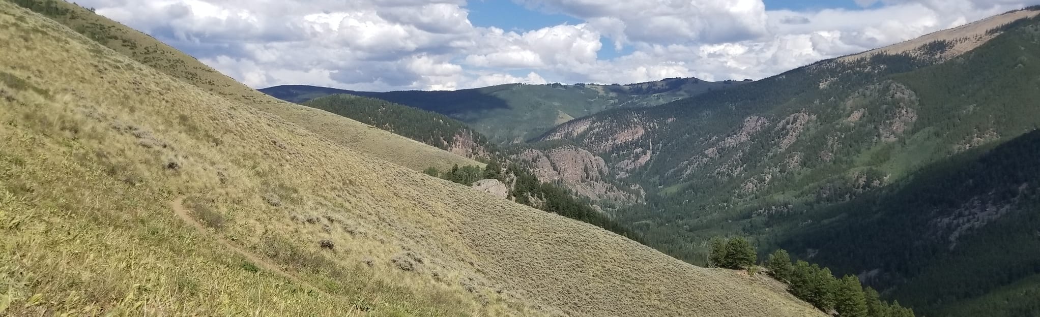 Walrod Loop Trail: 185 Reviews, Map - Colorado | AllTrails