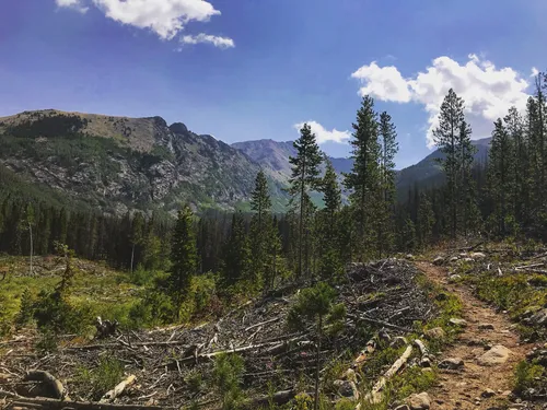 10 Best Hikes and Trails in State Forest State Park | AllTrails