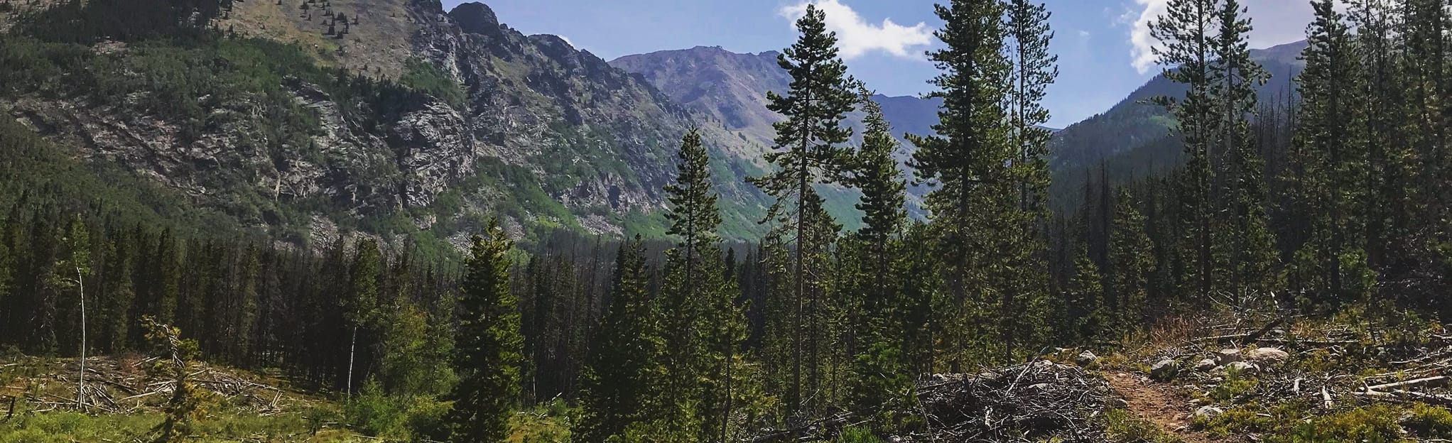 Kelly Lake Trail, Colorado - 85 Reviews, Map | AllTrails