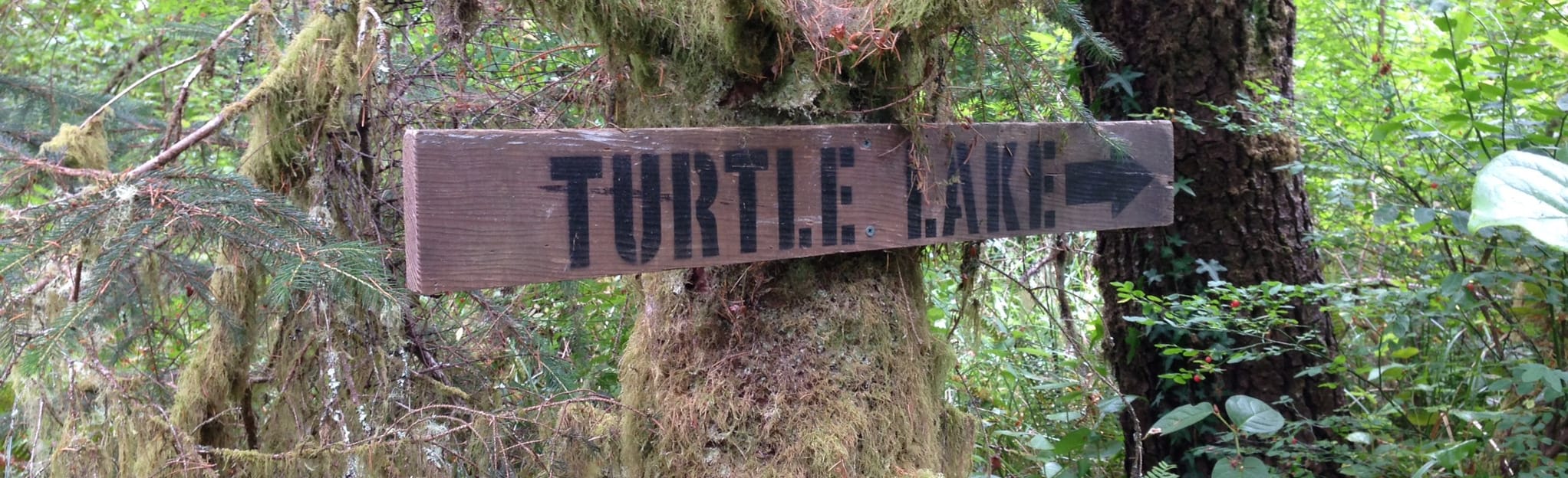 Cutler Wetlands Open Space Loop: 79 Reviews, Map - Oregon | AllTrails
