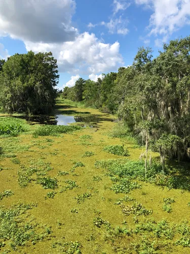 Best Hikes and Trails in Jean Lafitte National Historical Park and ...