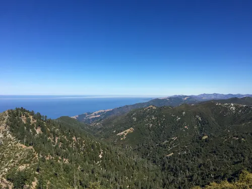 10 Best Hikes and Trails in Ventana Wilderness | AllTrails