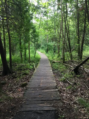 10 Best Trails and Hikes in Ottawa | AllTrails