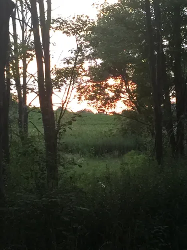 Best Hikes and Trails in LaFortune Park | AllTrails