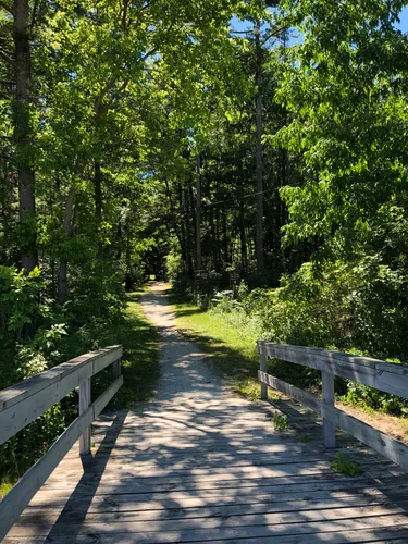 Best Hikes and Trails in Point Beach State Forest | AllTrails