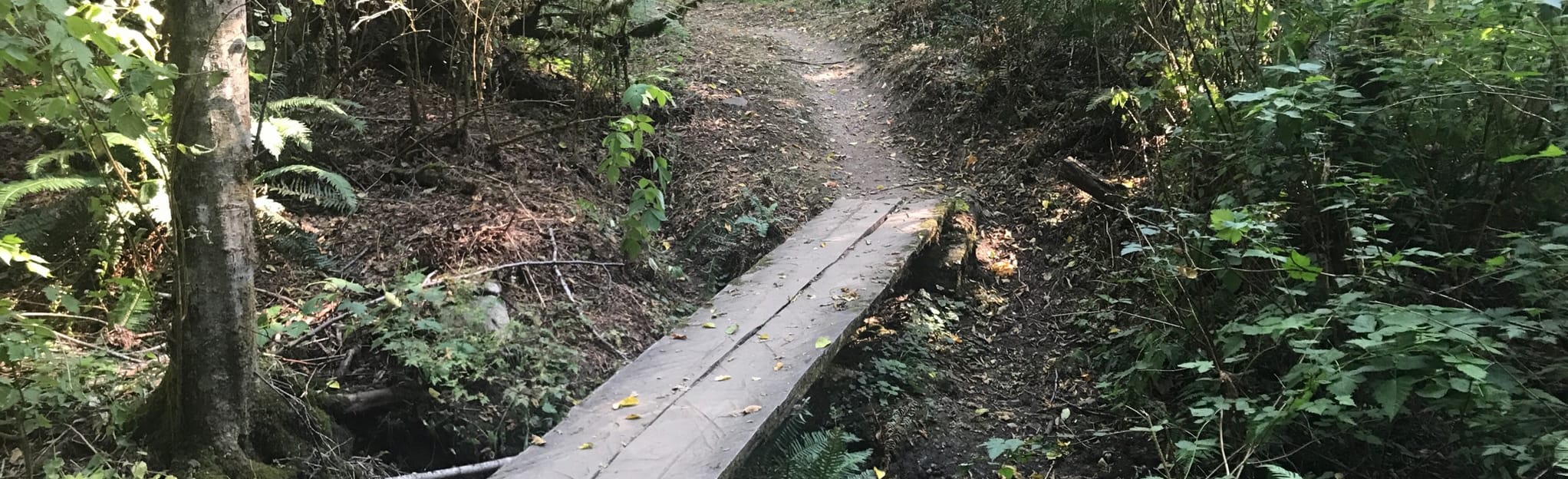 Military Road Trail, Washington - 133 Reviews, Map | AllTrails