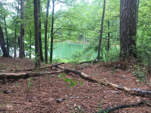 Best Hikes and Trails in Fort Gordon Recreation Area | AllTrails