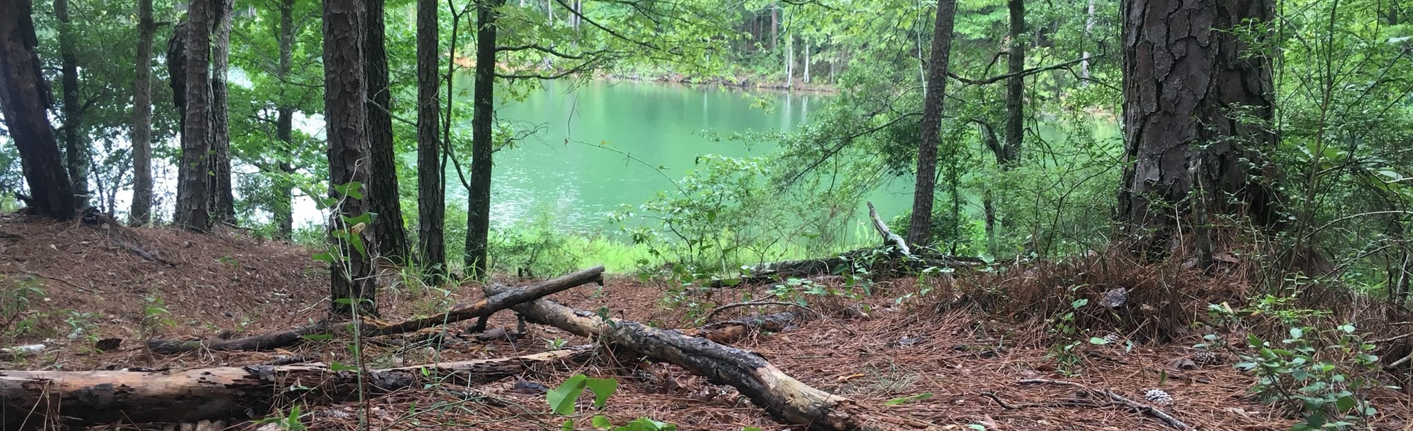 Lake Springs Trail, Georgia - 96 Reviews, Map | AllTrails
