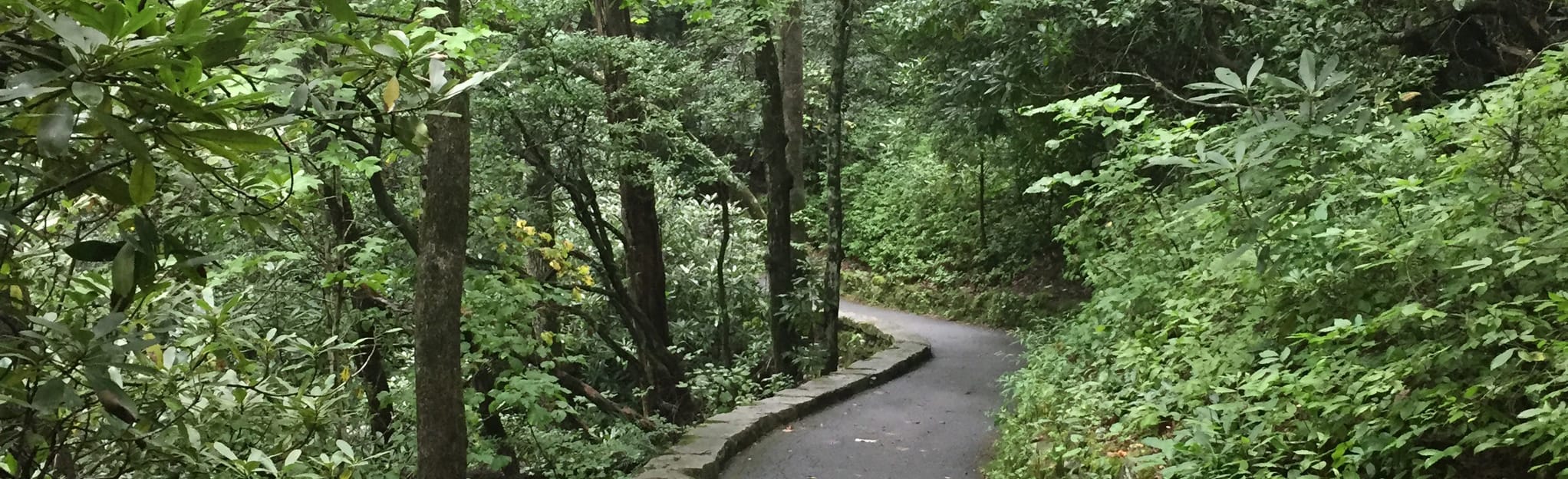 Biltmore Campus Trail, North Carolina - 51 Reviews, Map | AllTrails