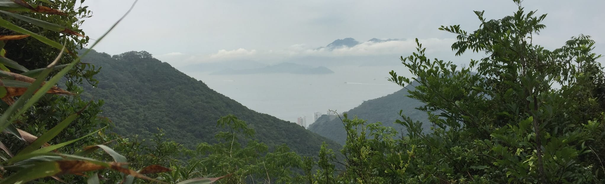 Lung Fu Shan Trail, Central and Western, Hong Kong - 138 Reviews, Map ...