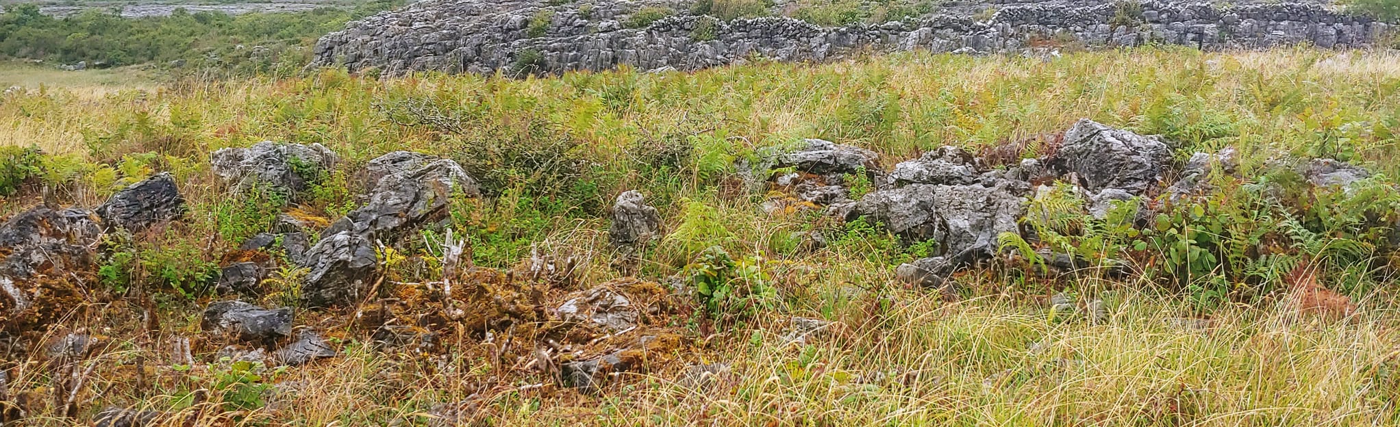 Mullaghmore Traverse: Red Route, County Clare, Ireland - 6 Reviews, Map ...