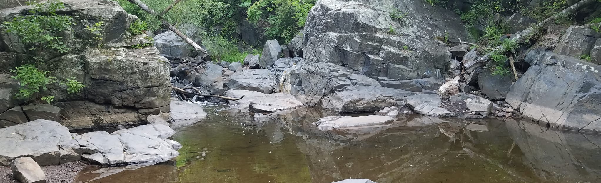 Chester Park Loop: 631 Reviews, Map - Minnesota | AllTrails