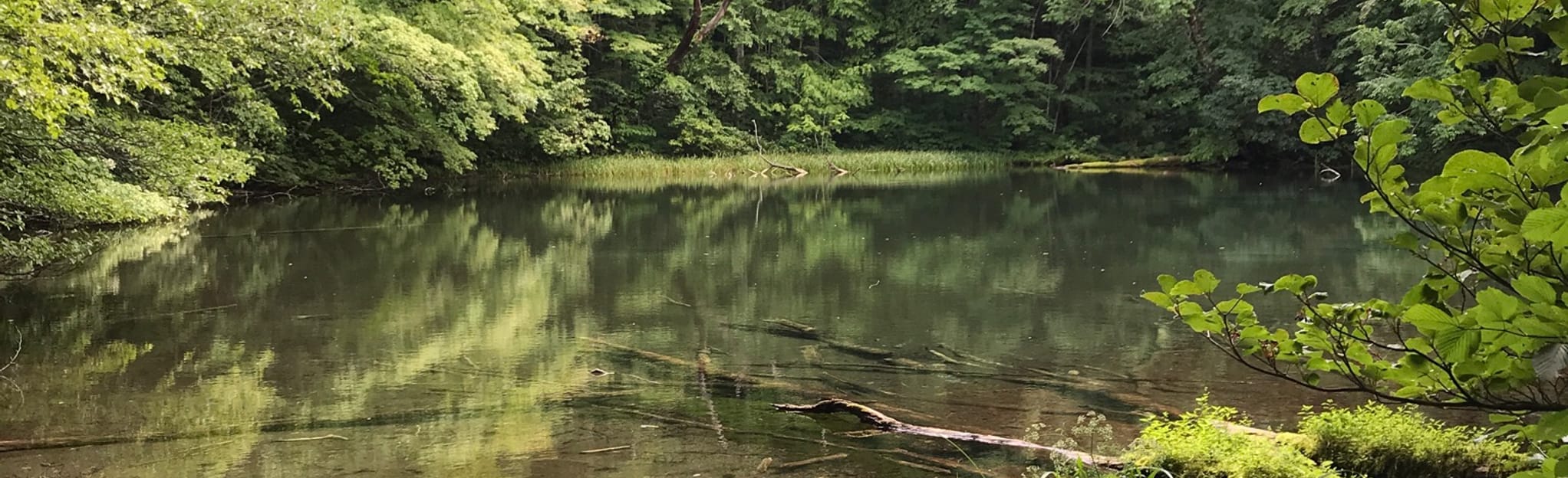 Tsuta Onsen - Mount Matsumori - Akanuma Pond | Mappa, Guida - Aomori ...