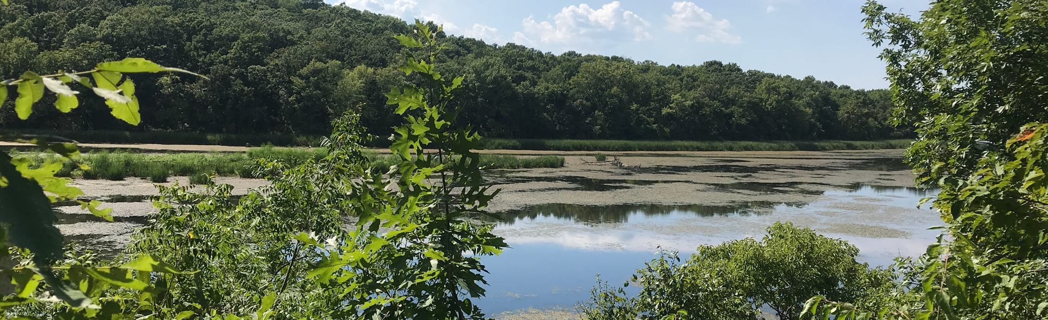 Greenleaf Trail Full Loop, Oklahoma - 50 Reviews, Map | AllTrails