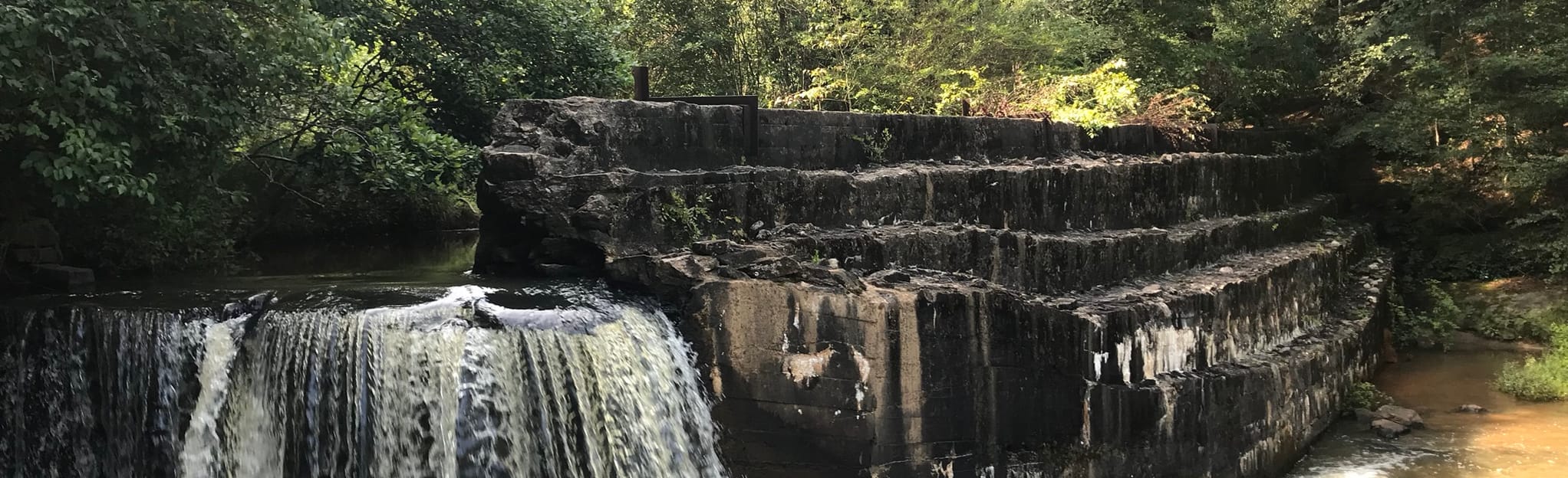 Cochran Mill Green Loop, Georgia - 62 Reviews, Map | AllTrails