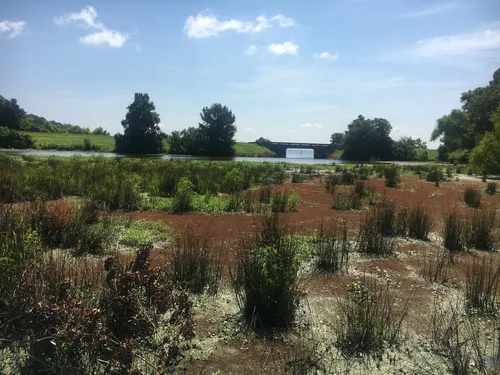 Best Forest Trails in Madison | AllTrails