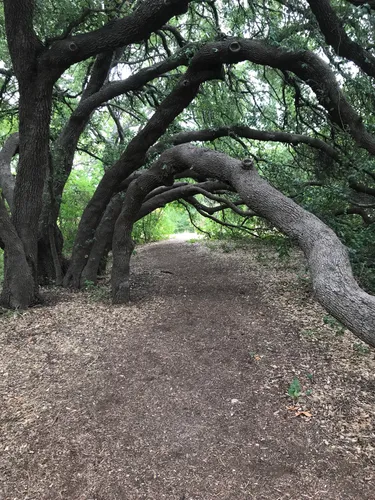 10 Best Trails and Hikes in Round Rock | AllTrails