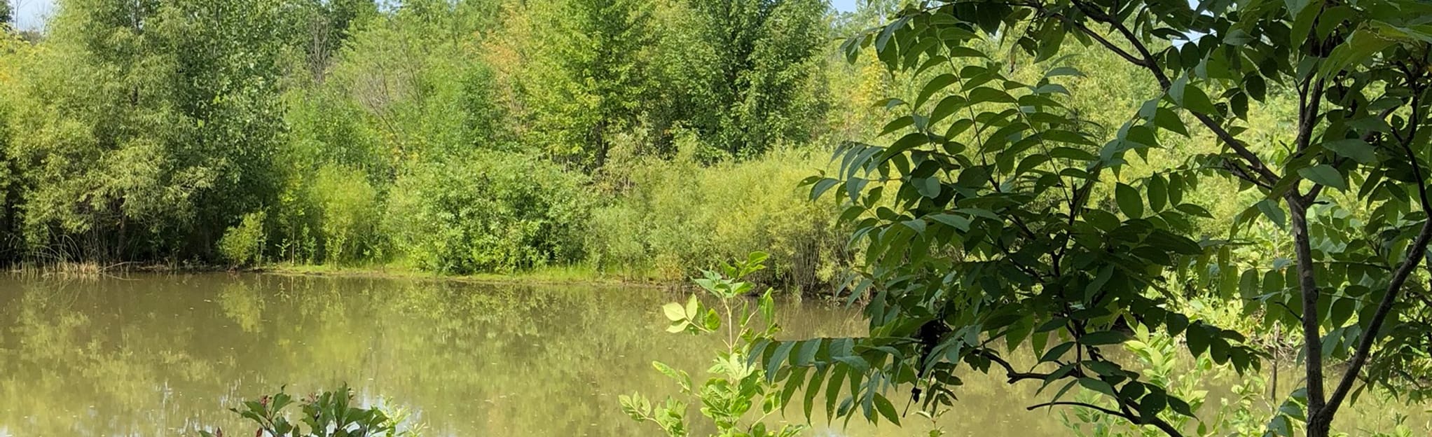 Perch Creek Short Loop: 37 Reviews, Map - Ontario, Canada | AllTrails