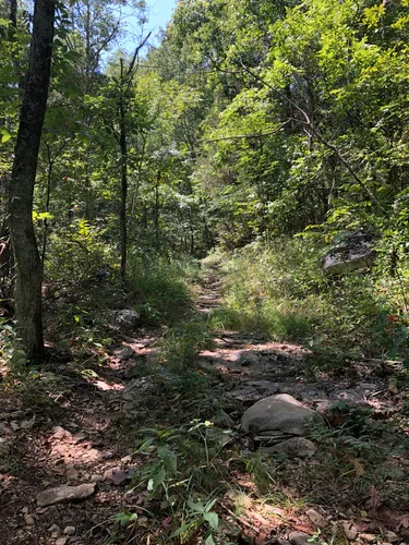 Best Hikes and Trails in Redstone Arsenal | AllTrails