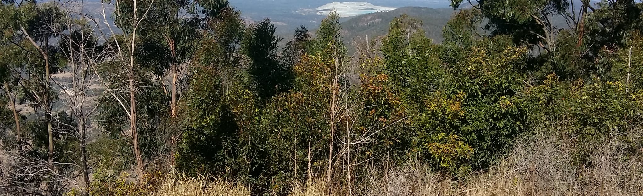 Mount Perry Summit Fire Trail, Queensland, Australia - 30 Reviews, Map ...