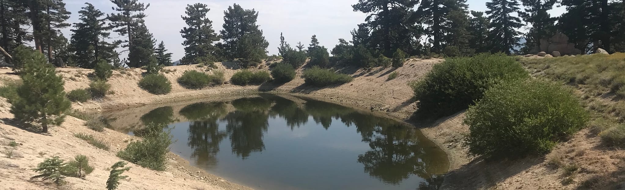 Mount Waterman and Twin Peaks Trail Loop, California - 100 Reviews, Map ...