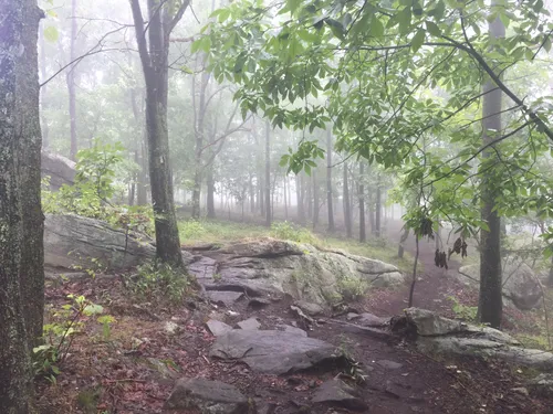 10 Best Trails and Hikes in Cold Spring | AllTrails