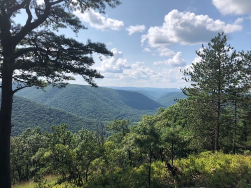 Best 10 Hikes and Trails in Elk State Forest | AllTrails