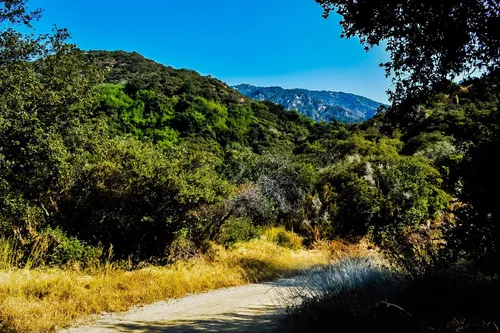 10 Best Trails and Hikes in Monrovia | AllTrails