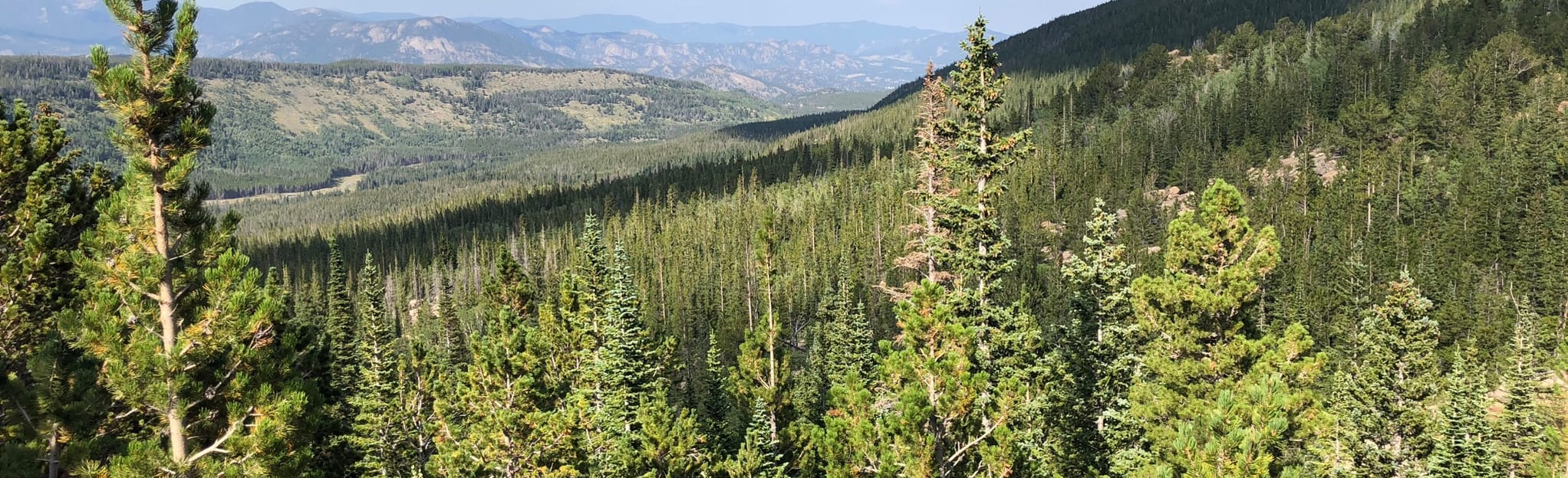 Boulder Brook Campsites via Glacier Gorge and North Longs Peak Trail ...