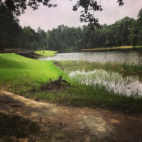 Best Hikes and Trails in Double Lake Recreation Area | AllTrails