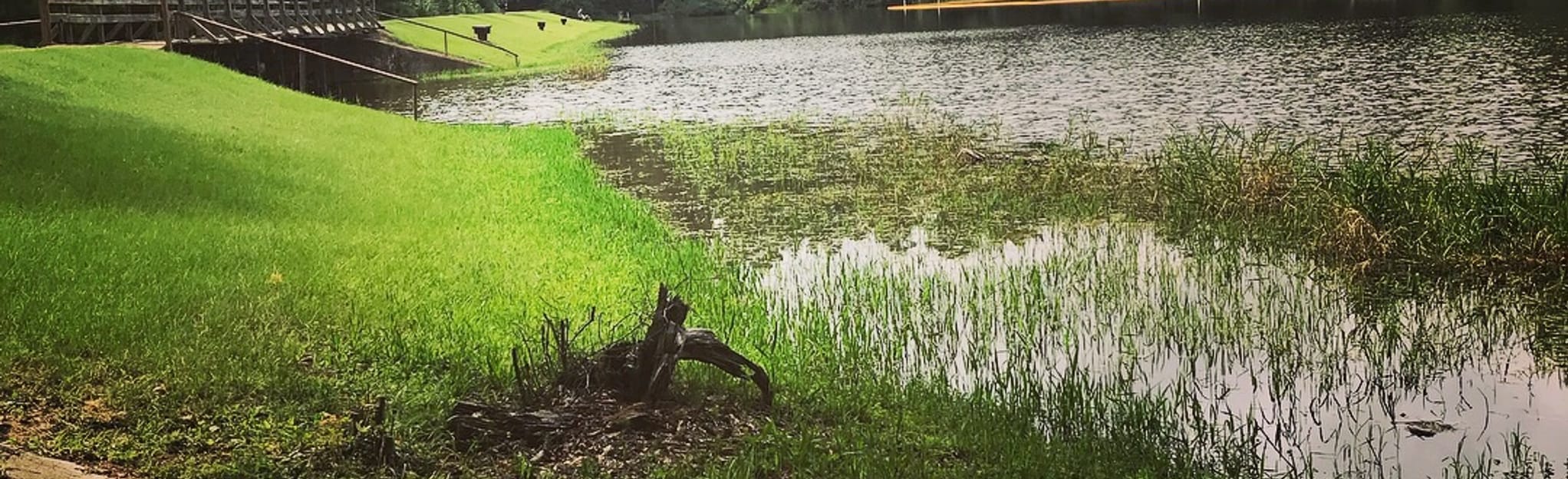 Double Lake Trail, Texas - 301 Reviews, Map | AllTrails