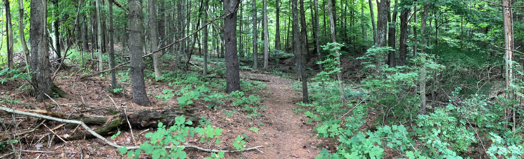 Bomoseen Hiking Loop, Vermont - 62 Reviews, Map | AllTrails