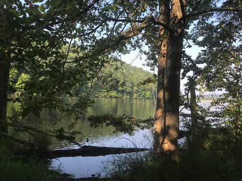 2023 Best Lake Trails in Scottsburg | AllTrails
