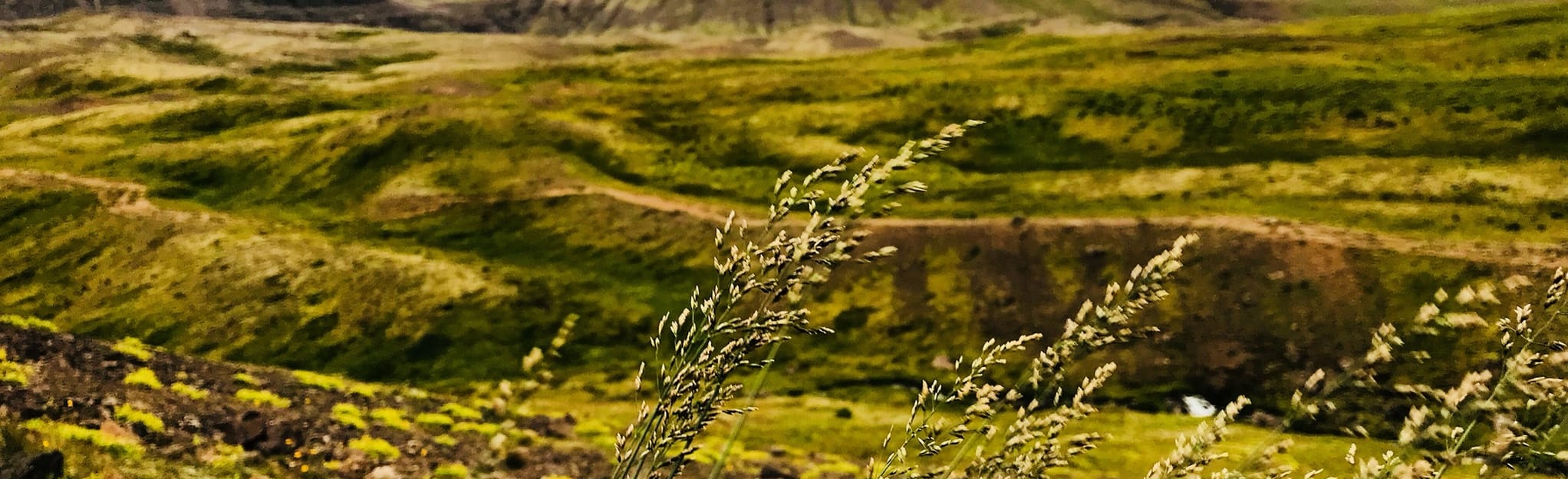 Mount Esja: Steinn - Þverfellshorn, Capital Region, Iceland - 570 ...