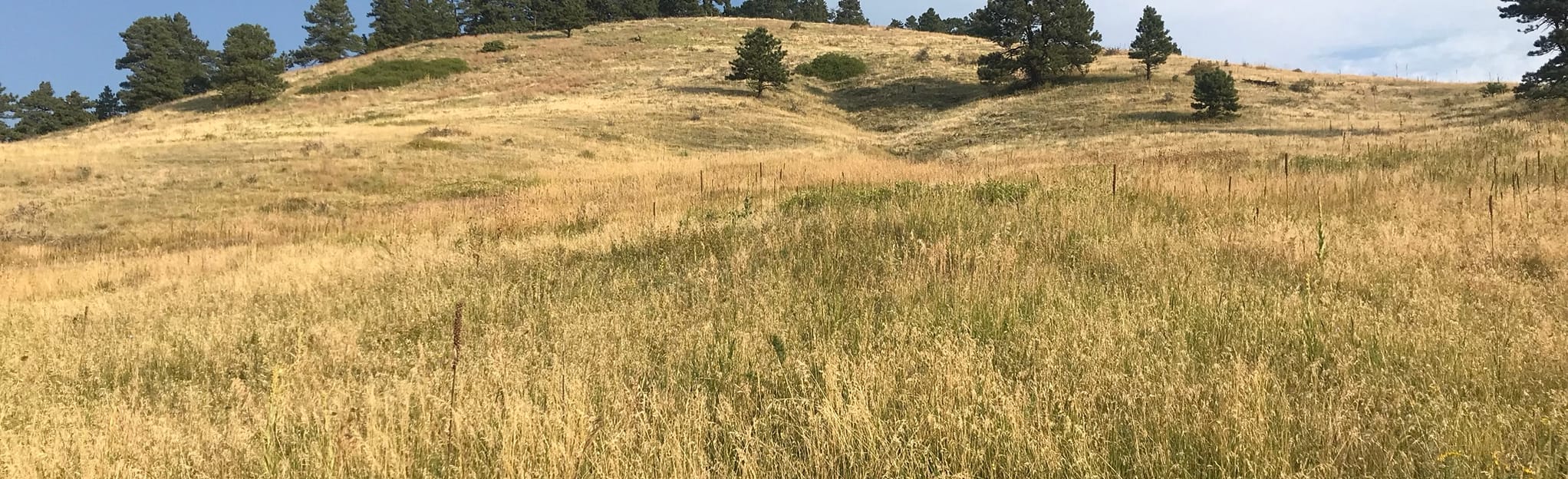 Apex Open Space Complete Loop Trail: 418 Reviews, Map - Colorado ...