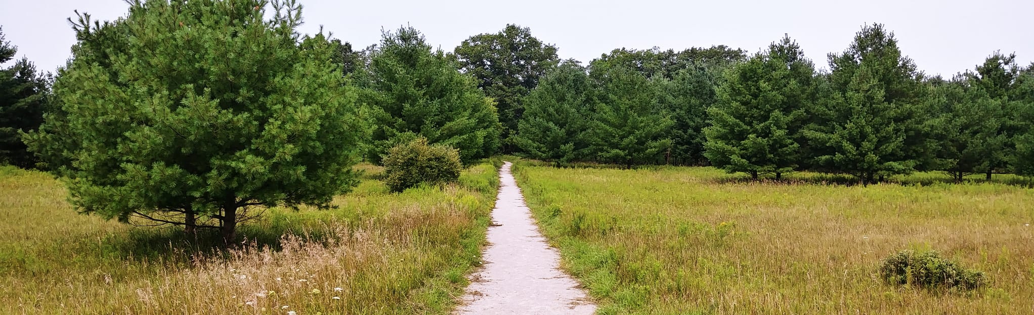 White Trail Outer Loop: 559 Reviews, Map - Ontario, Canada | AllTrails