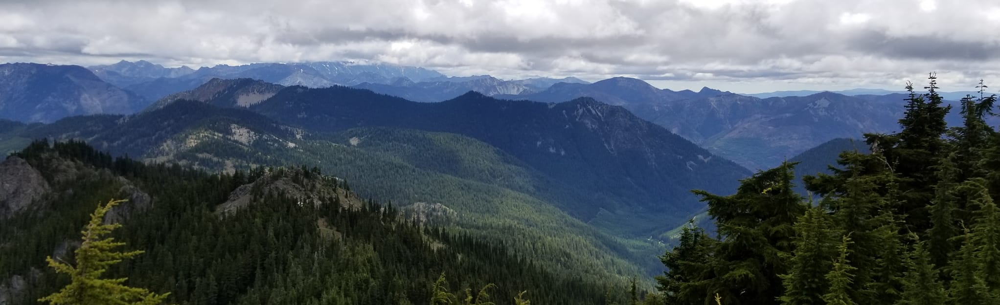 Thorp Mountain via Kachess Ridge Trail: 13 Reviews, Map - Washington ...