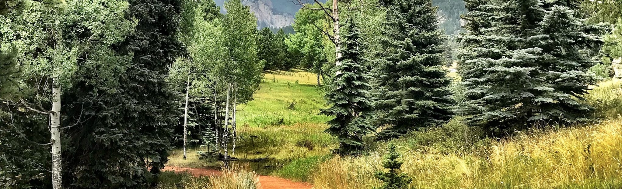 Davis Ponds Trail: 1029 Reviews, Map - Colorado | AllTrails