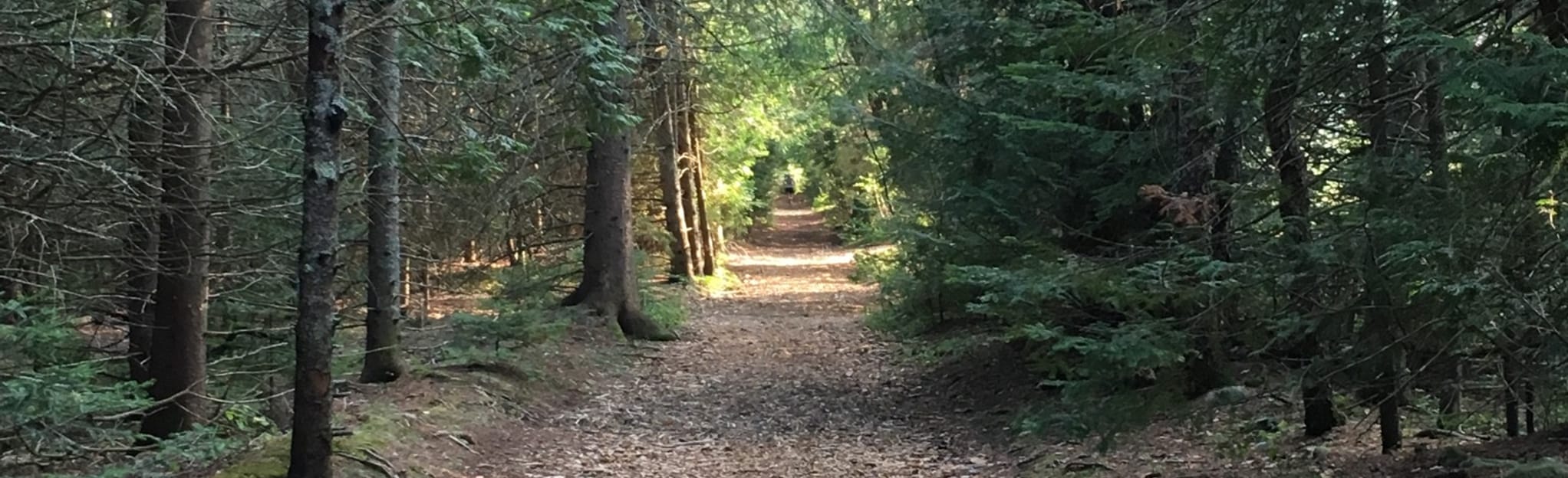 Potato Field and Maple Grove Trail Loop, New York - 305 Reviews, Map ...