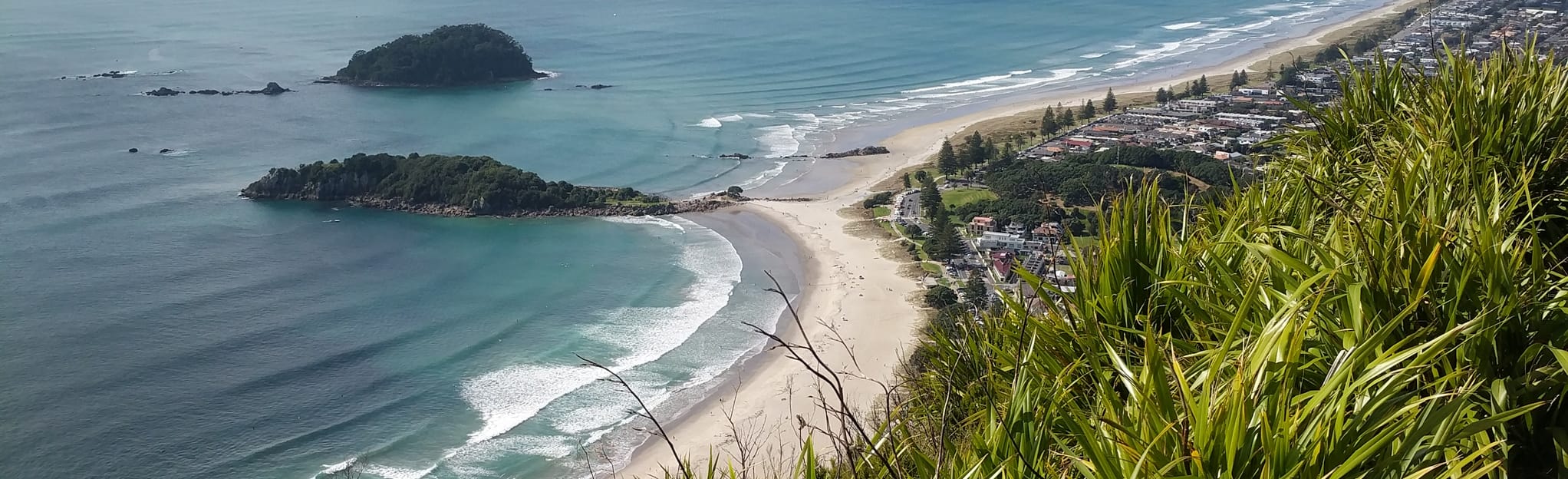 Mount Maunganui Summit and Ranui Loop Track, Bay of Plenty, New Zealand ...