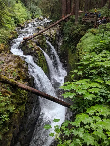 10 Best Trails and Hikes in Forks | AllTrails