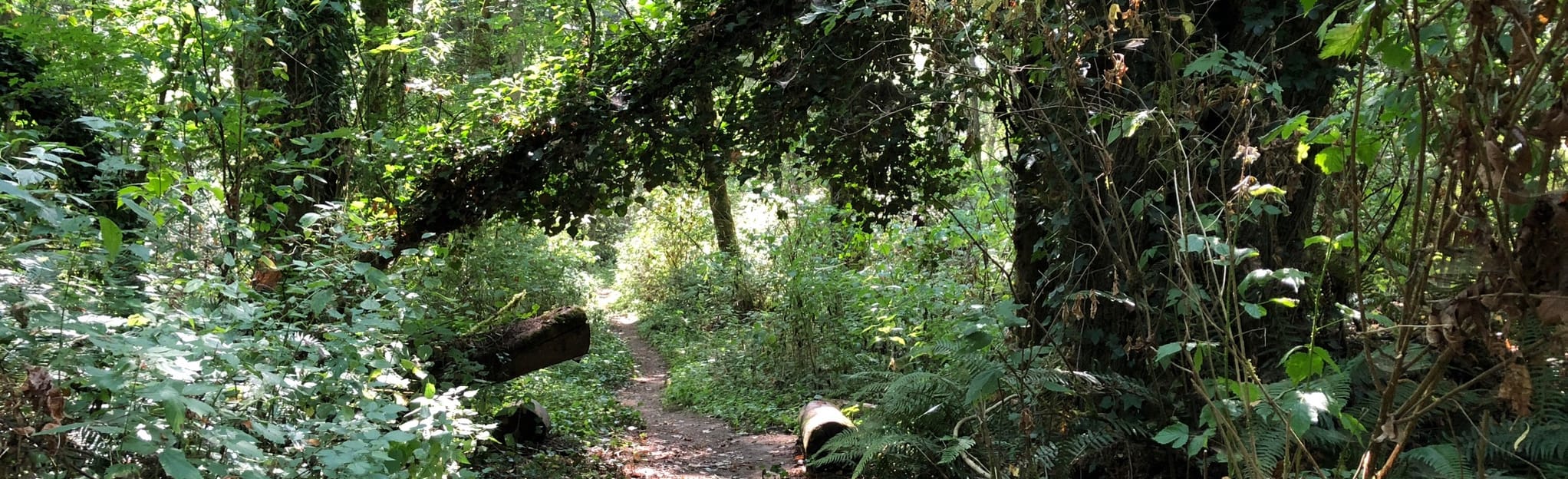 Harper Park Trail | Map, Guide - Washington | AllTrails