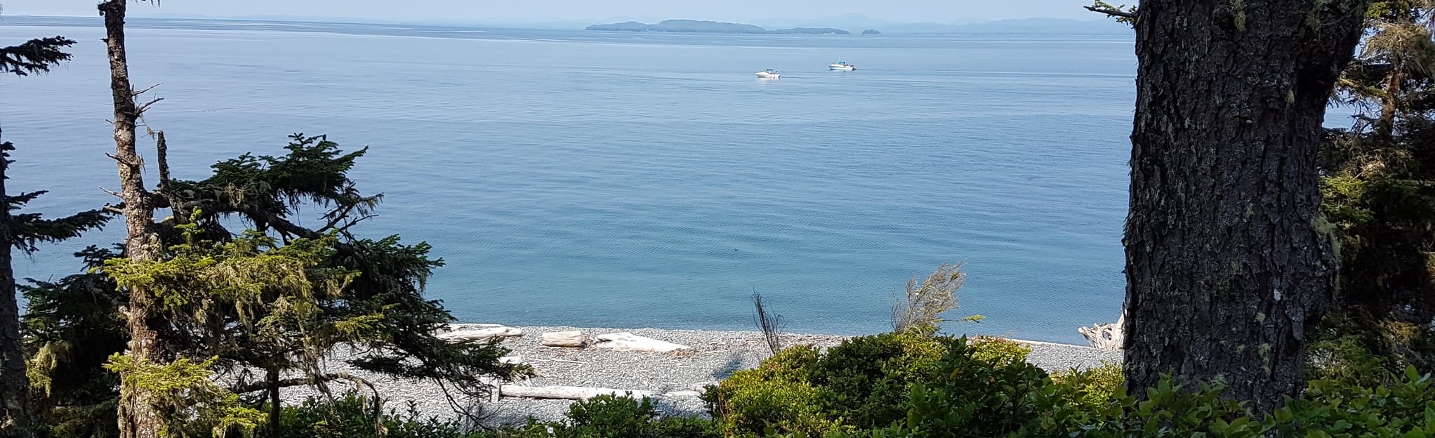 AllTrails | Bere Point Trail: 49 Reviews, Map - British Columbia, Canada