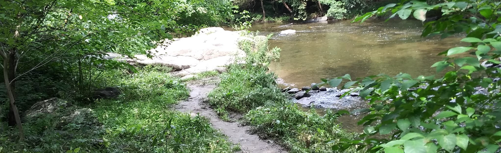 Chester Park Loop, Pennsylvania - 28 Reviews, Map | AllTrails