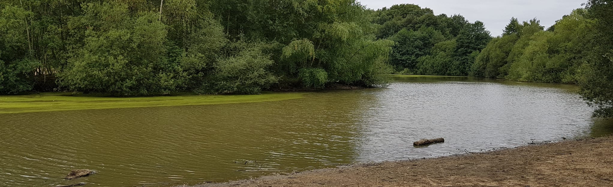Wimbledon Common and The Toast Rack Circular, London, England - 189 ...