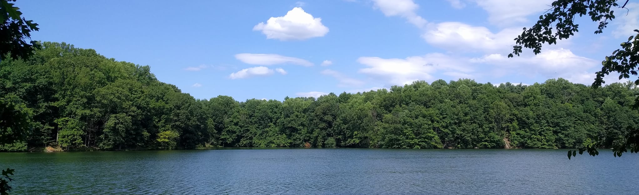 Liberty Reservoir and Coot Peninsula Route - Maryland | AllTrails