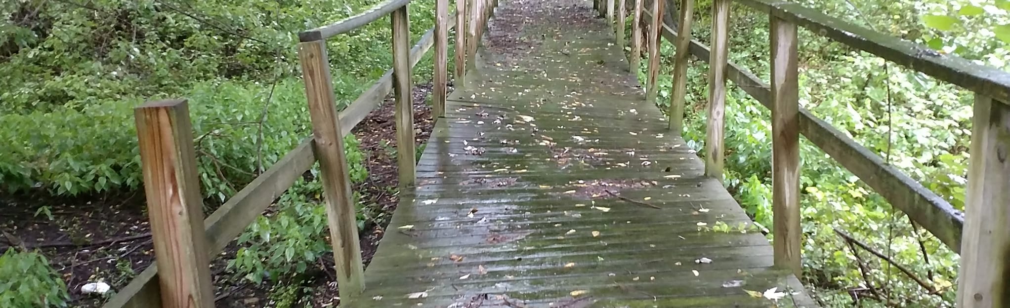 Montrose Point and George's Island Park Loop, New York - 27 Reviews ...