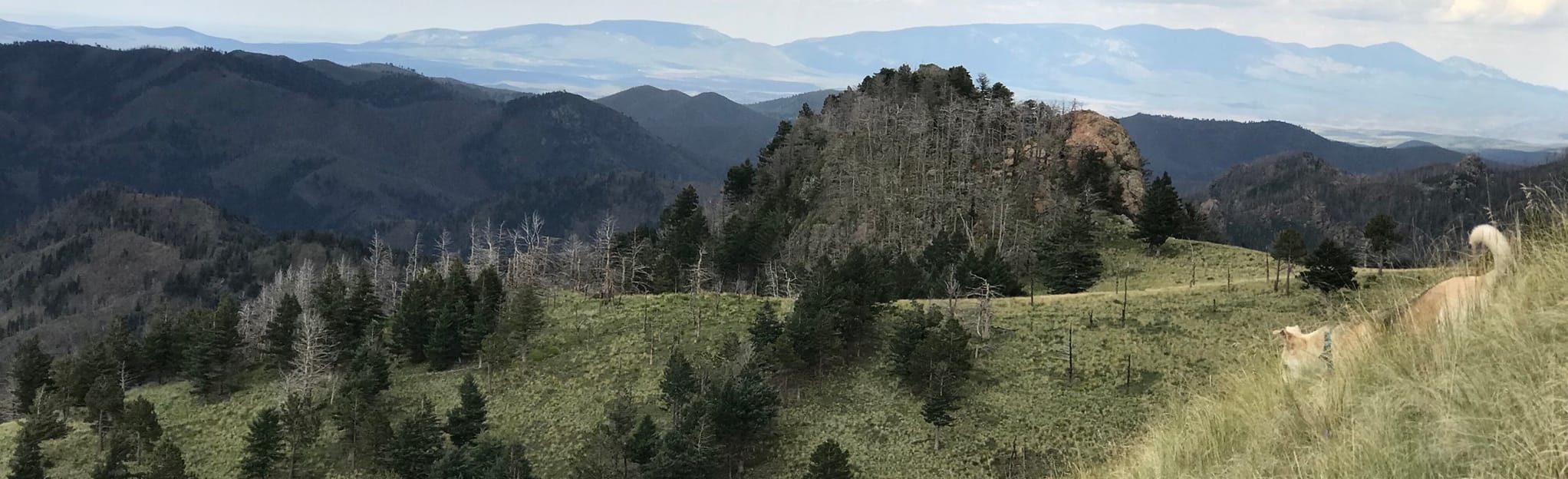 Turkey Canyon, Crest 25, Aspen 35, and Big Bonito 36 Loop: 17 Reviews ...